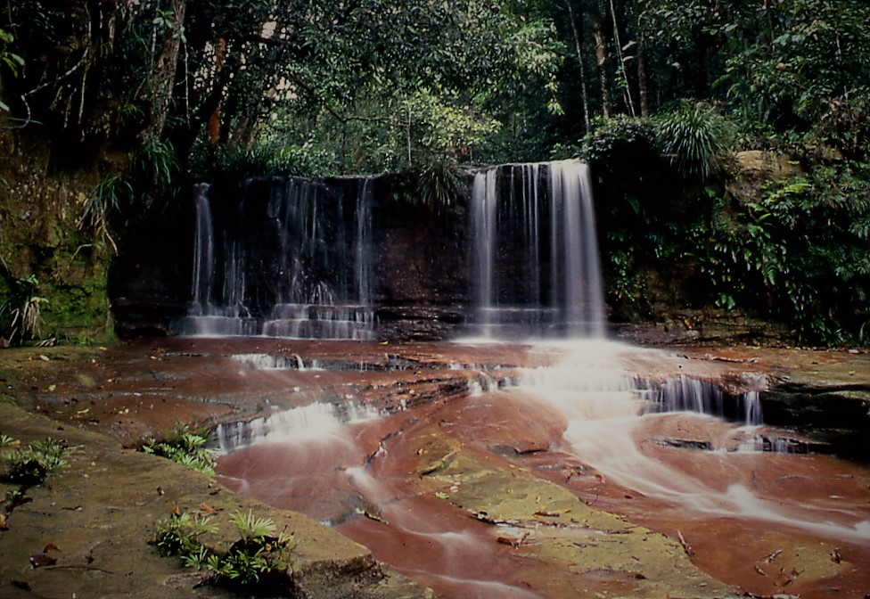 Waterfall in Lambir Hills National Park, Sarawak | Under The Banyan