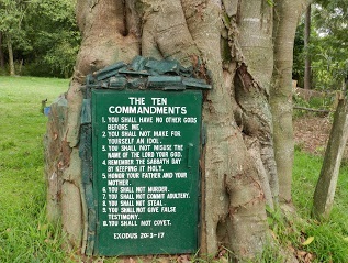 What happened when Christian missionaries met Kenya’s sacred fig trees ...